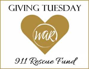 Giving Tuesday - Women At Risk International™